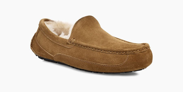 Big and Tall Slippers | Men's Size 13 - 18 Slippers – BigShoes