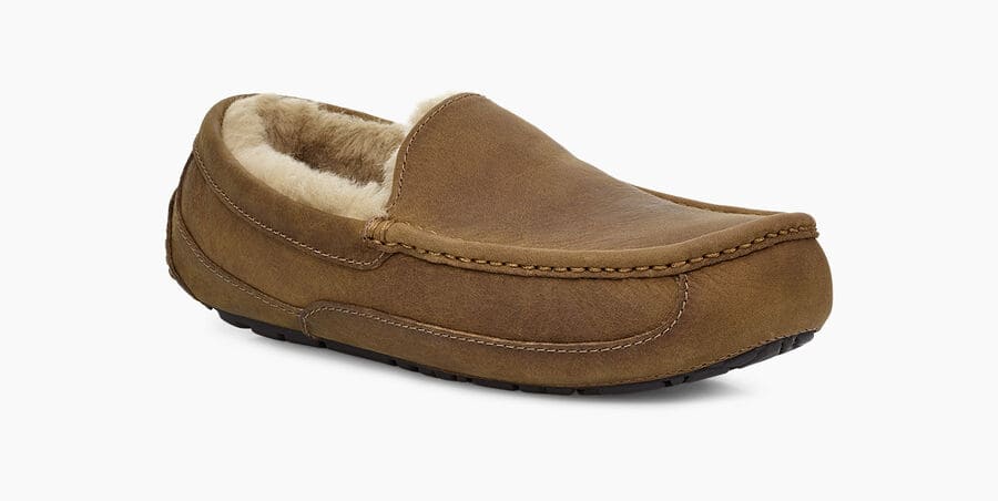 Big and Tall Slippers | Men's Size 13 - 18 Slippers – BigShoes